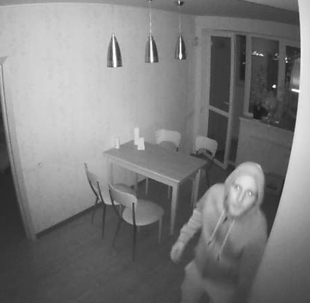 MotionCam - Motion sensor with photo verification of alarms