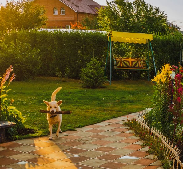 MotionCam Outdoor (PhOD) — Outdoor motion sensor with photo function